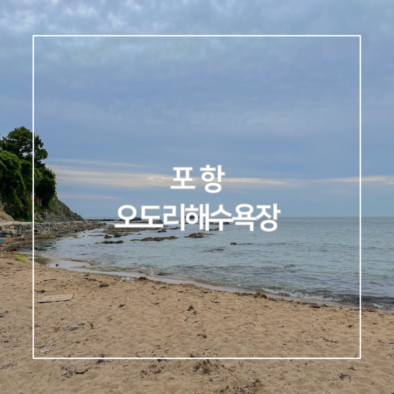 포항 오도리해수욕장 화장실 주차 평상 샤워 꿀정보 네이버 블로그