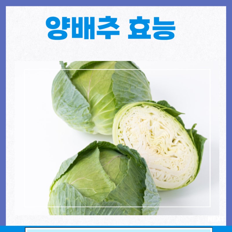 양배추 효능 칼로리 부작용 양배추즙 생양배추 삶은양배추 먹는법 양배추환 네이버 블로그