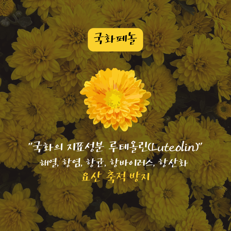 퓨린 많은 음식 요산 배출 성분 체크 통풍 초기증상 원인 개선방안 네이버 블로그