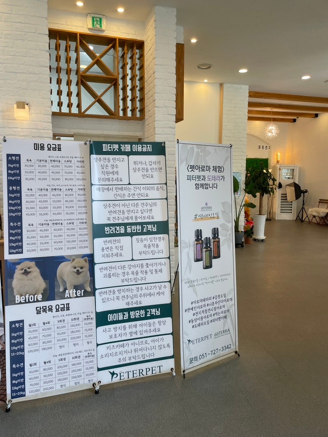 넓고 쾌적한 송정 기장 애견동반카페 피터펫 부산본점 100 추천후기 네이버 블로그