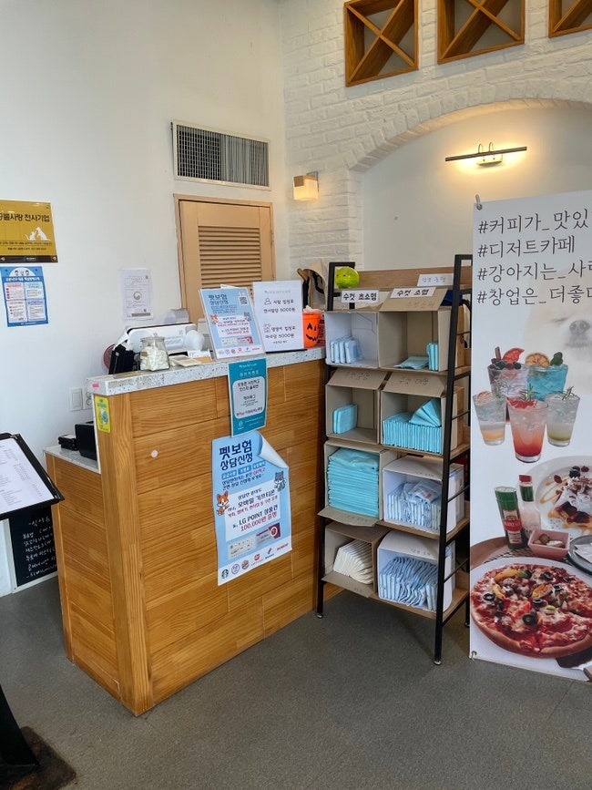 넓고 쾌적한 송정 기장 애견동반카페 피터펫 부산본점 100 추천후기 네이버 블로그