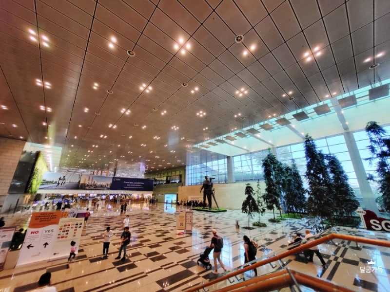 싱가포르 입국 Sg카드 작성 방법 필요한 서류 네이버 블로그