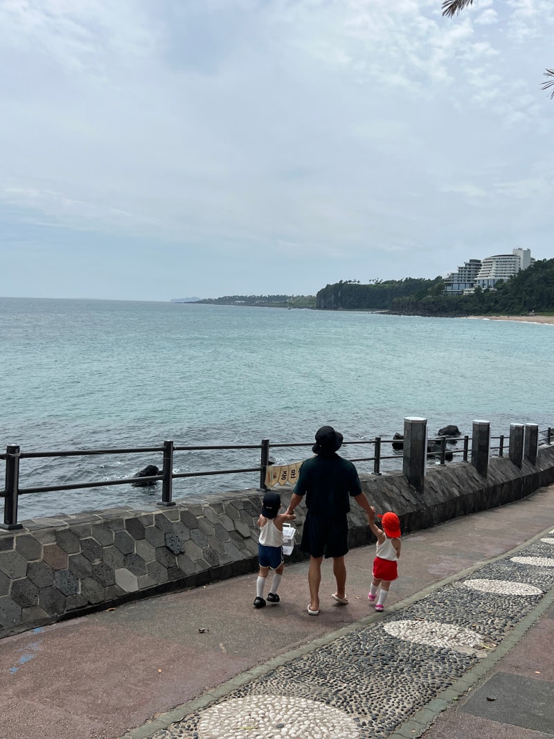 제주 서귀포 가볼만한 곳 이국적인 중문 색달해수욕장 색달해변 네이버 블로그