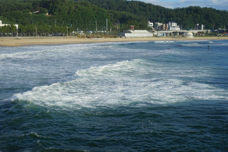 강원도 양양 여행 볼거리 양양죽도해변 죽도섬 죽도정 네이버 블로그