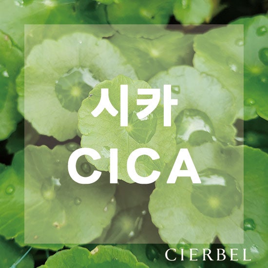 화장품 성분 시카cica란 병풀추출물마데카소사이드아시아티코사이드 네이버 블로그