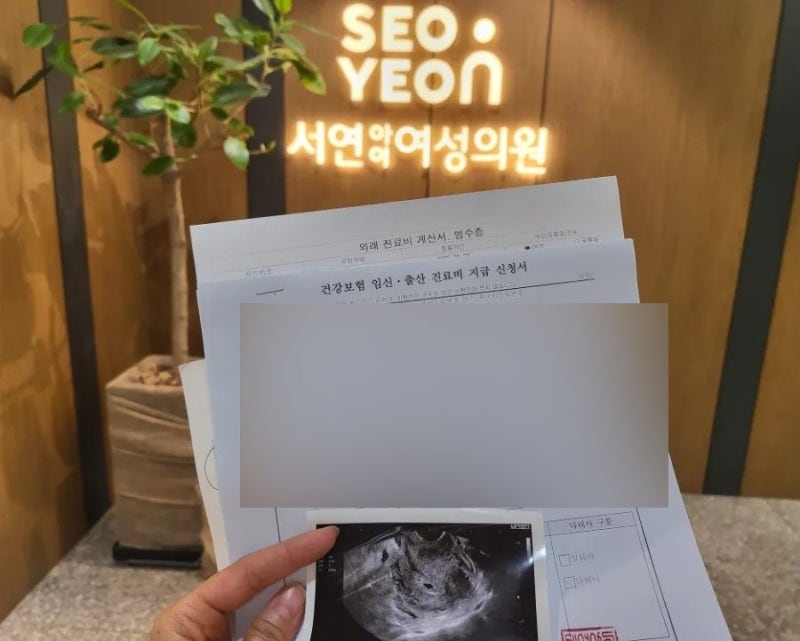 서연아이여성의원 시험관 1차 성공 5일배양 동결배아 이식 피검사 확인 후 임신 난임병원 졸업까지 총정리 네이버 블로그
