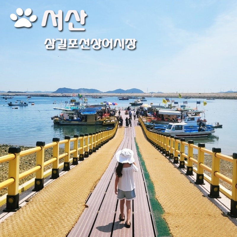 서산 삼길포항 회뜨는 선상 횟집 삼길포 선상 어시장 수산물 직매장 네이버 블로그