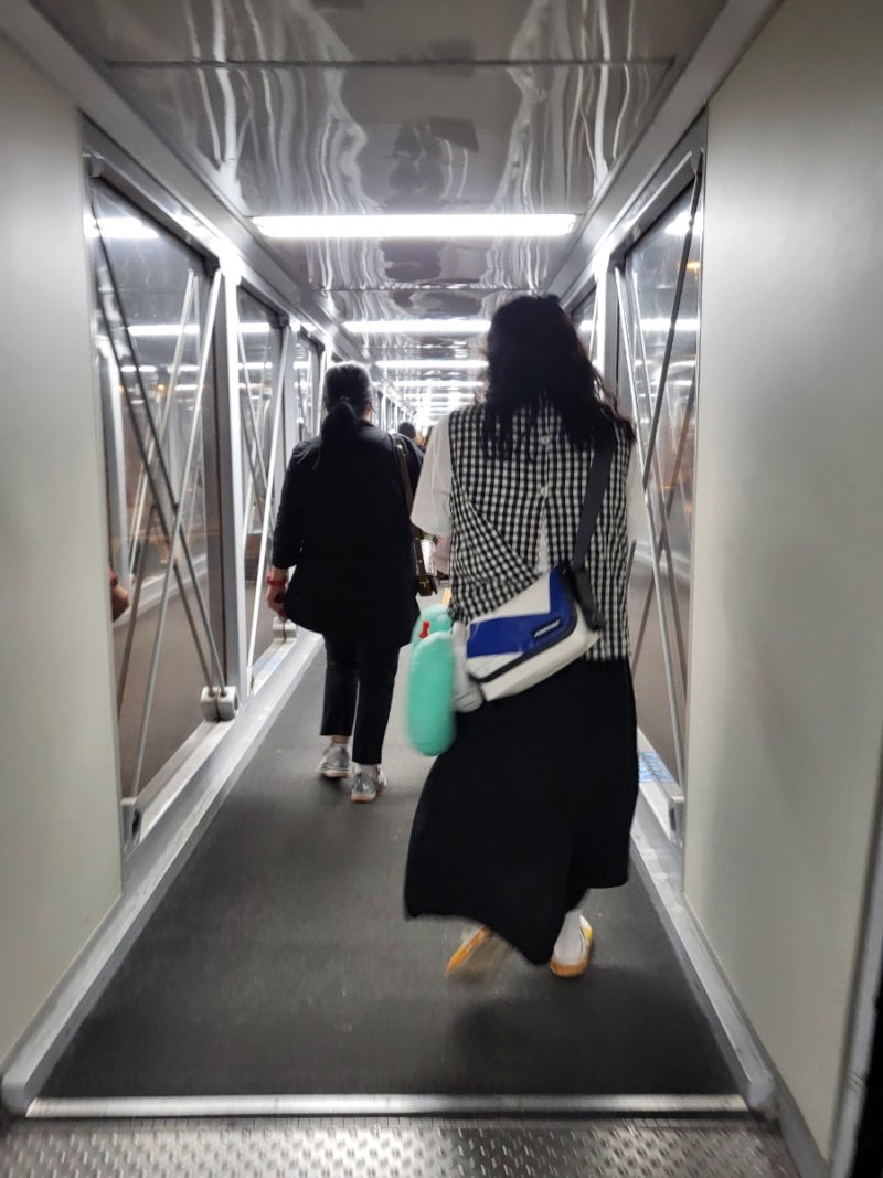 미아트 항공 후기 몽골 새벽 비행기 기내식 연착 비자 입국신고서 셀프체크인 무료수화물 기내서비스 네이버 블로그