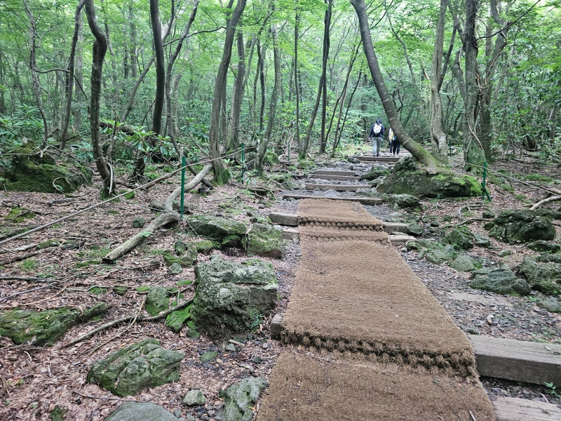 한라산 탐방 예약 및 등산 코스성판악~백록담~관음사 종주 코스 네이버 블로그