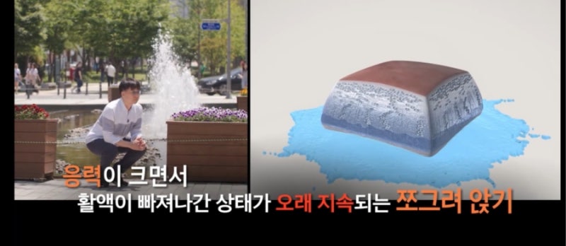 무릎관절에 나쁜 자세 운동 ️무릎하중 응력 쪼그려앉기는 무릎에 치명적 네이버 블로그