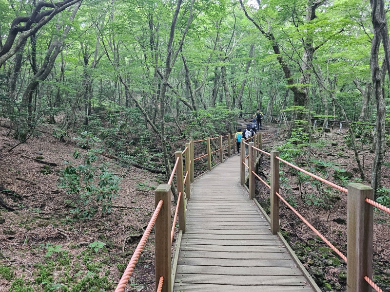 한라산 탐방 예약 및 등산 코스성판악~백록담~관음사 종주 코스 네이버 블로그