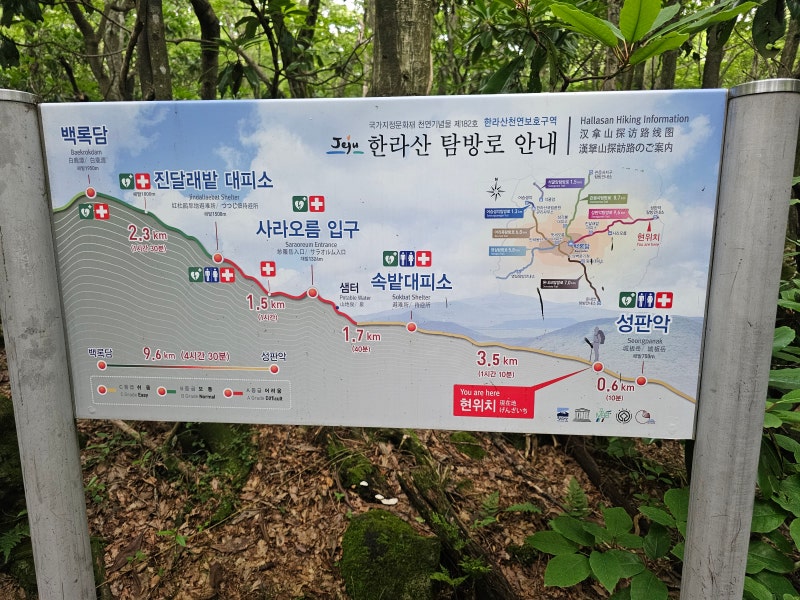 한라산 탐방 예약 및 등산 코스성판악~백록담~관음사 종주 코스 네이버 블로그