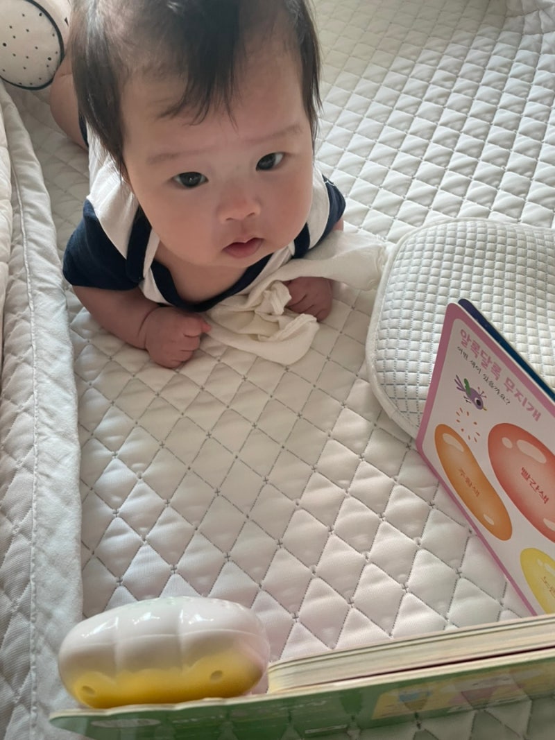 육아일기 121일~ 130일 아기 4개월 접종열 분유거부 수유횟수 줄이기 네이버 블로그