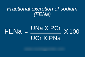 FENa(Fractional sodium excreation)의 의미, 계산법 : 네이버 블로그
