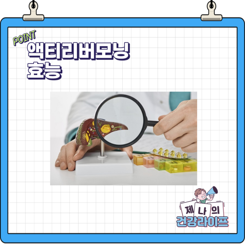 밀크시슬 간 영양제 액티리버 모닝 효능과 부작용 가격실리마린 네이버 블로그