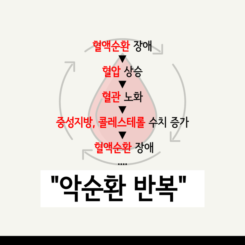 다리 혈전 증상 5가지 신호 예방 및 관리법 필독 네이버 블로그