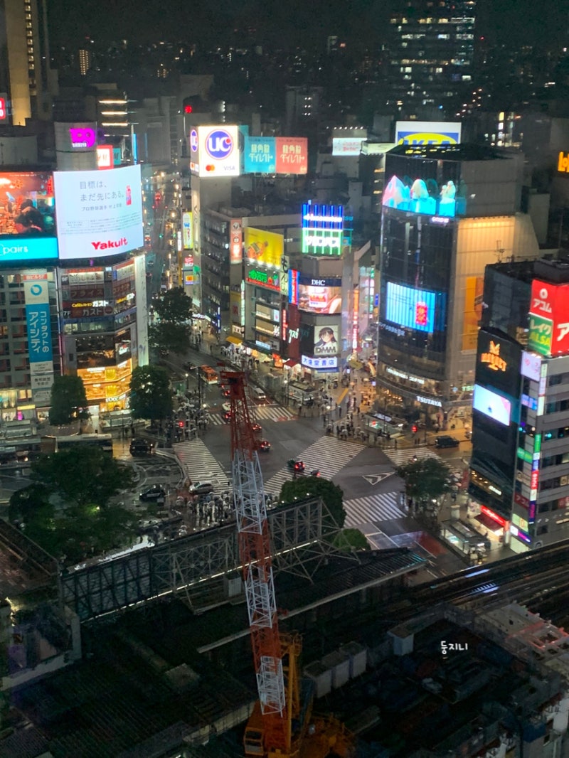 도쿄 시부야 스카이 예약 전망대 야경 우천시 방문기 네이버 블로그