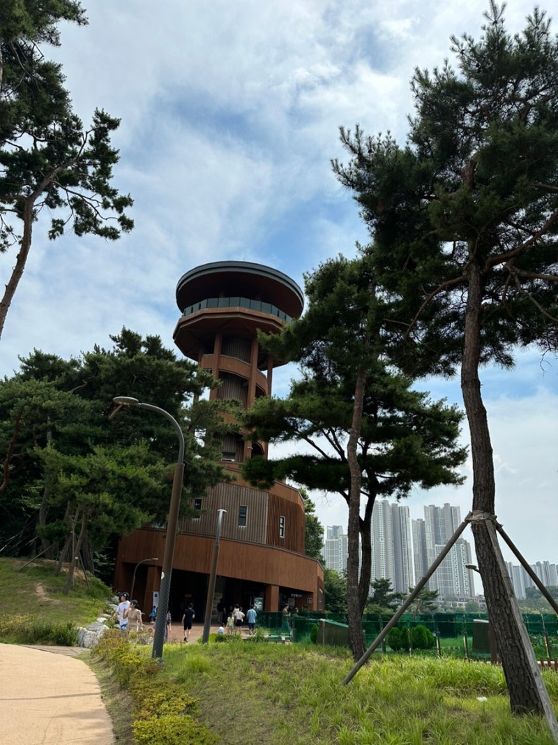 광교 호수공원 신비한 물너미 바닥분수 에서 아이들과 신나는 물놀이 네이버 블로그