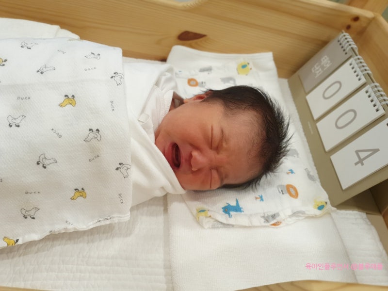 신생아 몸무게 증가 아기 표준 체중 평균 몸무게표 백분위 표준성장표 네이버 블로그