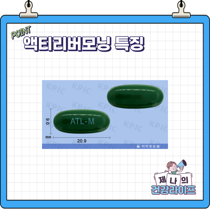 밀크시슬 간 영양제 액티리버 모닝 효능과 부작용 가격실리마린 네이버 블로그