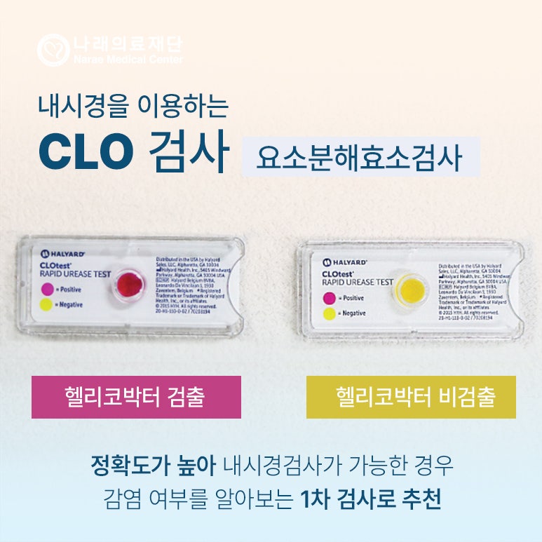 헬리코박터균 검사, 양성, 제균치료, 약 , 보험적용 : 네이버 블로그