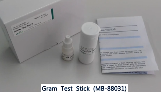 [간이 미생물동정 키트] ★실험시간 단 1분이내!★ 간단한 그람염색 Gram Test Stick : 네이버 블로그