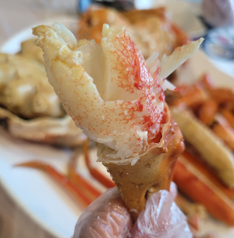 부산 동래 맛집 가족 외식은 대게좋은날 네이버 블로그