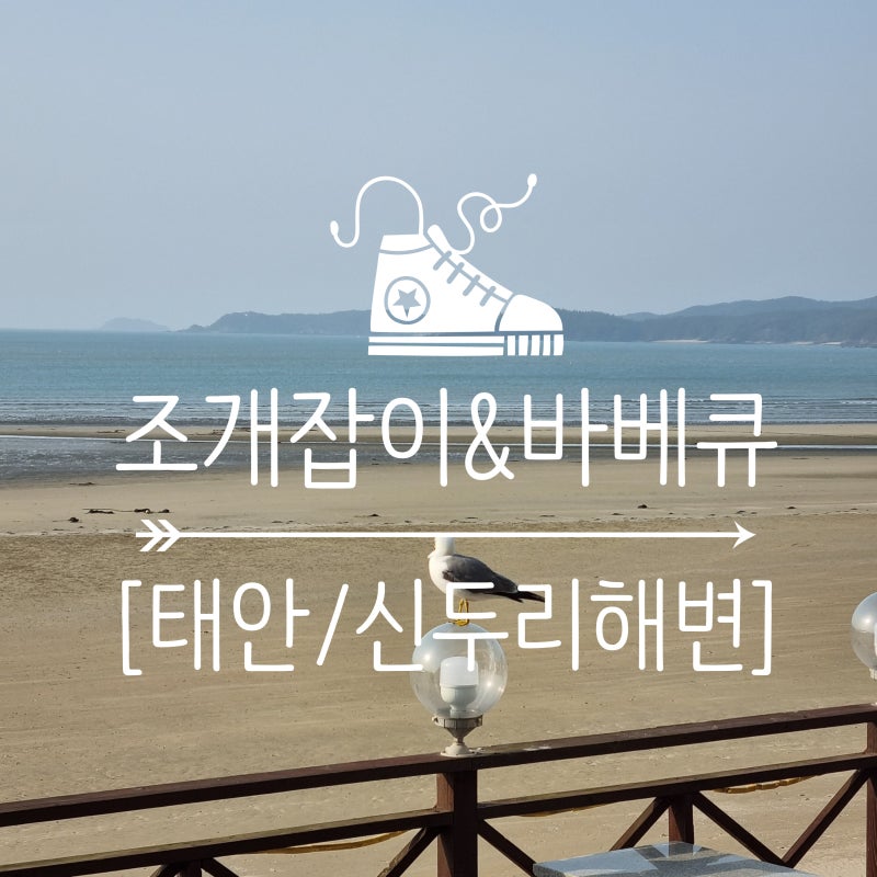 태안 꽃지해수욕장신두리해변코리아플라워파크조개잡이and바베큐깨끗하고 조용한 펜션추천마로니에 펜션 네이버 블로그