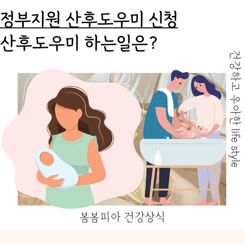 정부지원 산후도우미 신청 방법 비용 산모도우미 하는 일 네이버 블로그