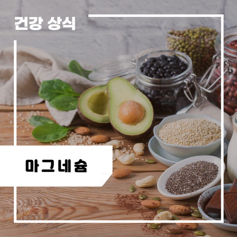 마그네슘 효능 5가지 부작용 하루 권장량 복용시간먹는시간 많은 음식 영양제 고르는법 네이버 블로그