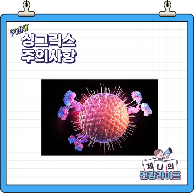 대상포진 예방접종 싱그릭스 가격과 부작용 접종 간격 횟수 네이버 블로그