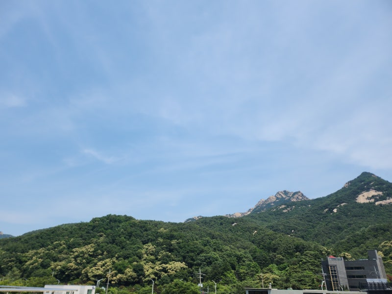 서울 근교 북한산 카페 북한산 브런치 맛집 리플로우 북한산점 네이버 블로그
