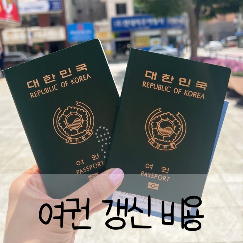 온라인 여권 재발급 신청 방법 여권 구여권 발급여권 종류별 비용 네이버 블로그