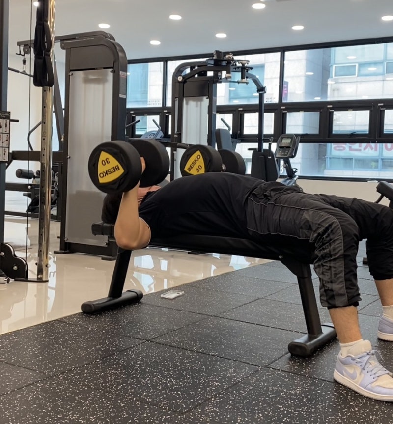 헬스 가슴 삼두 운동 루틴 덤벨 체스트 프레스 바벨 인클라인 프레스 케이블 푸쉬다운 네이버 블로그