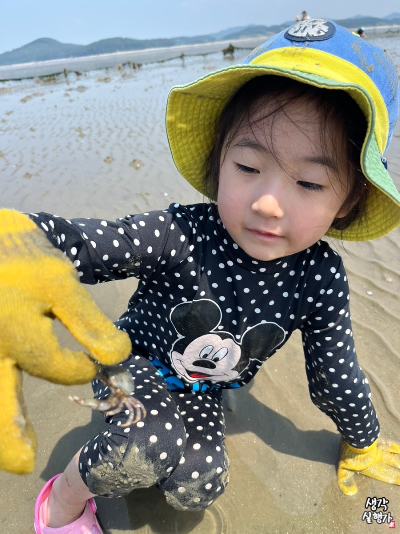 진산리 갯벌체험장 태안진산리어촌계 다녀왔어요 네이버 블로그