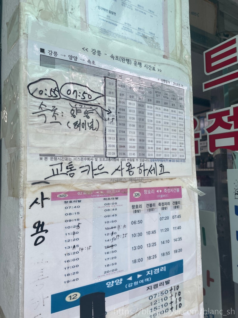 서울에서 양양 죽도 인구해변 버스로 가는 법과 돌아오는 법 With 양양종합여객터미널 네이버 블로그