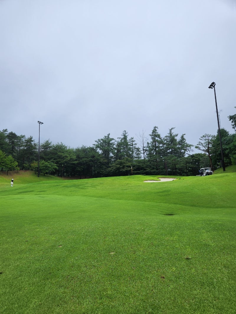 골프존카운티 안성wcc 라운딩 솔직후기 네이버 블로그