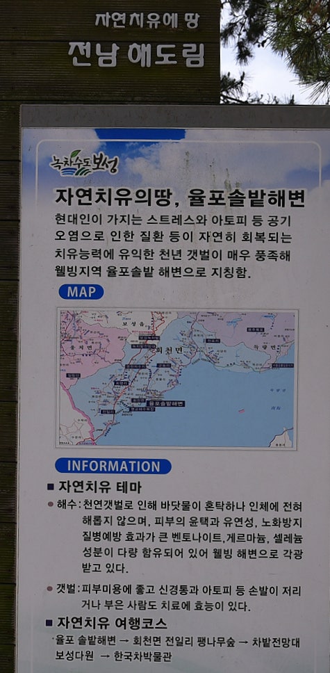 전남 여행 보성 율포솔밭해수욕장 개장 소식과 득량역 추억의거리 네이버 블로그