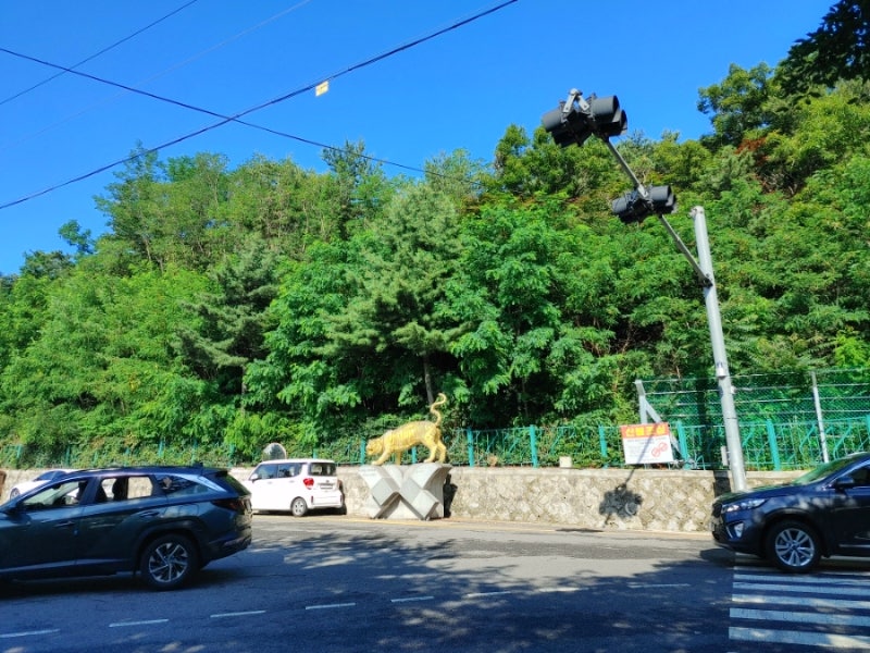 서울 인왕산 북악산 등산 코스 경복궁역~인왕산~북악산~삼청동 러브버그 벌레 네이버 블로그