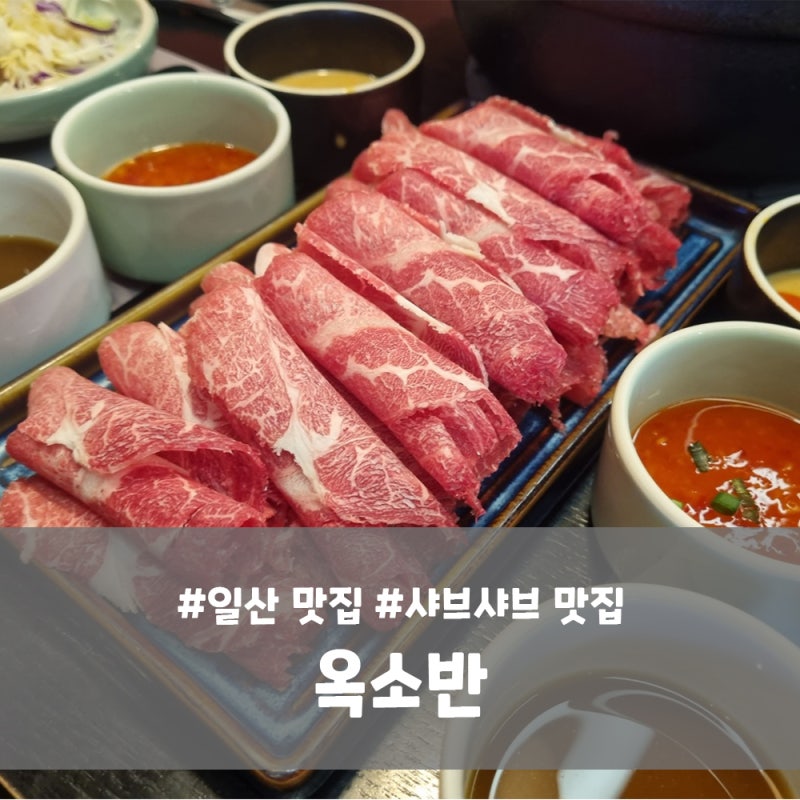경기도 일산호수공원 일산 맛집 샤브샤브 스키야키 옥소반 일산점 네이버 블로그
