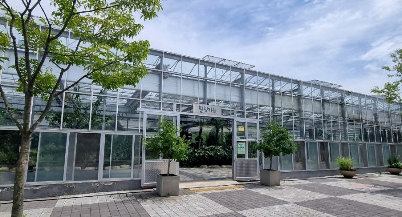 광주 광주 남구 빛고을농촌 테마공원 실내놀이터 실외족욕장겸 어린이 수영장 곤충박물관 온실가든까지 광주 실내