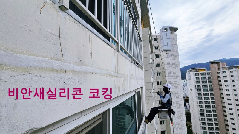 고층 아파트 외벽누수 크랙 보수 실리콘 방수 코킹 작업 후기 네이버 블로그