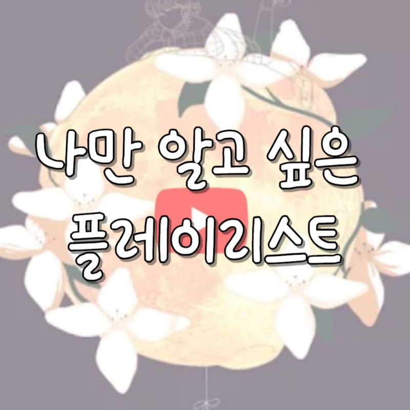 나만 알고 싶은 노래 "인디 플레이리스트 추천" (가사좋은곡) : 네이버 블로그