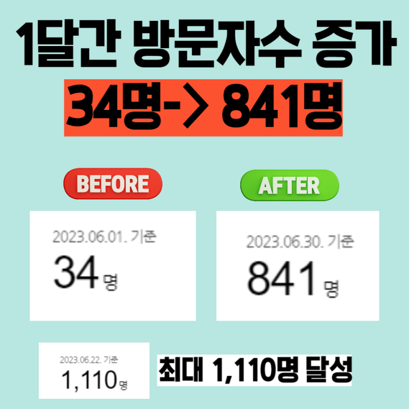 블로그 일방문자 1000명 애드포스트 체험단 기자단 수익 정리 네이버 블로그