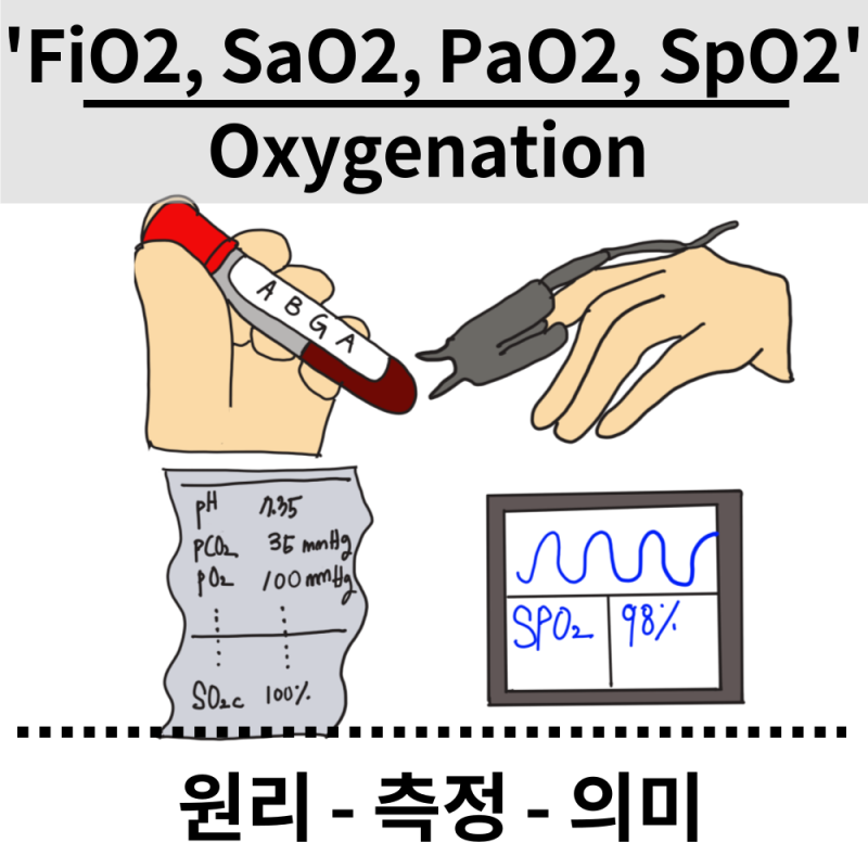 산소화(Oxygenation) : FiO2, SaO2, PaO2, SpO2 : 네이버 블로그