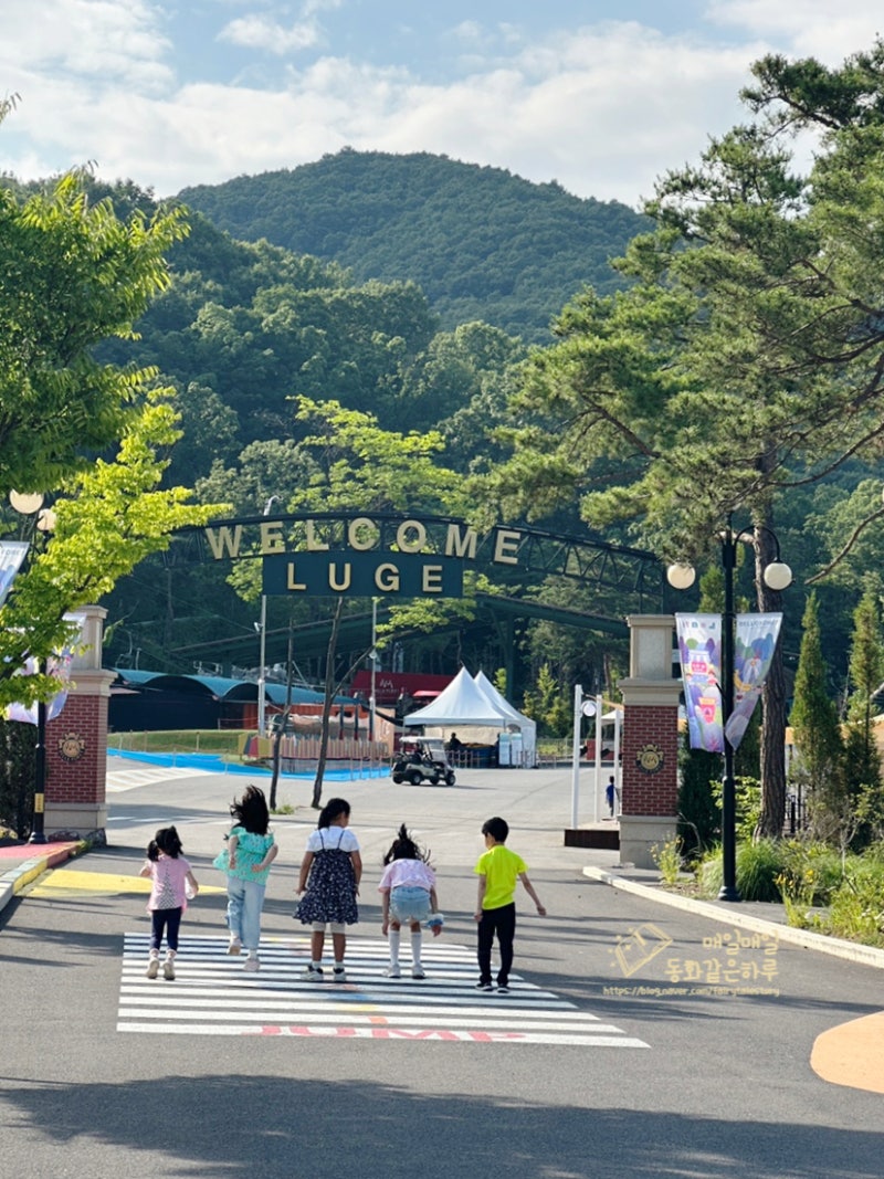 아이랑 국내여행 증평 벨포레리조트 루지 놀이동산 즐기기 네이버 블로그
