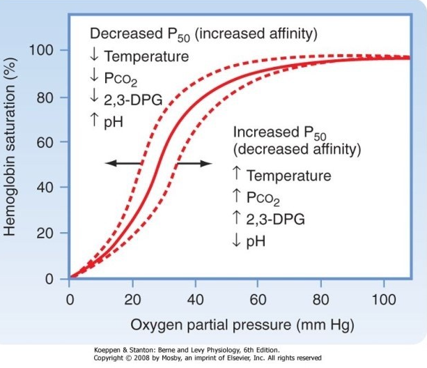 산소화(Oxygenation) : FiO2, SaO2, PaO2, SpO2 : 네이버 블로그