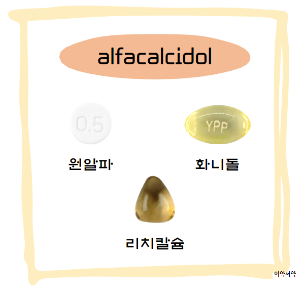 비타민D 대사과정 및 기능 [cholecalciferol, calciol, calcifediol, calcitriol ...