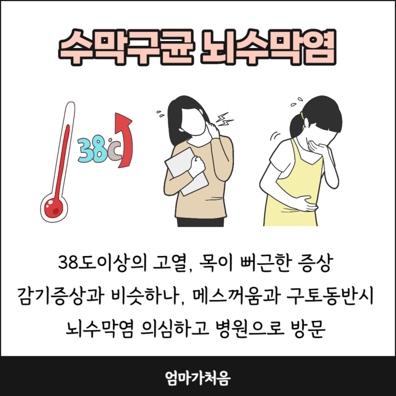 수막구균 예방접종 시기 횟수 종류 비용 가격 뇌수막염 선택접종 네이버 블로그