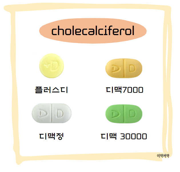 비타민D 대사과정 및 기능 [cholecalciferol, calciol, calcifediol, calcitriol ...